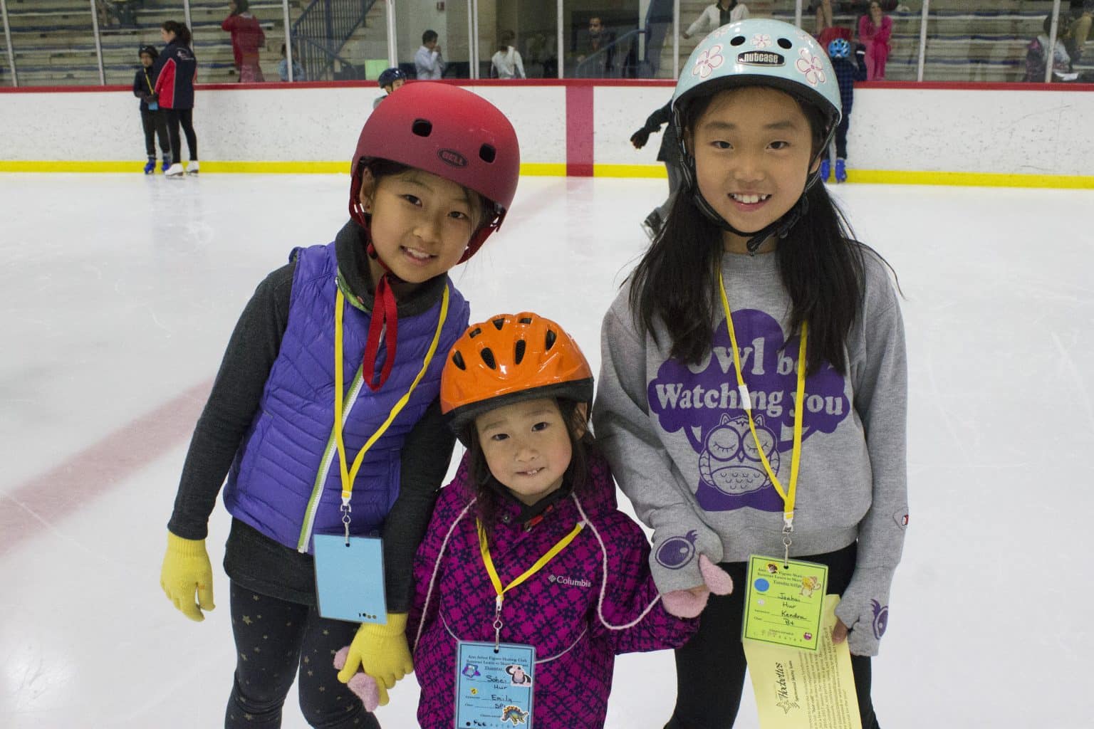 Learn to Skate | Ann Arbor Figure Skating Club